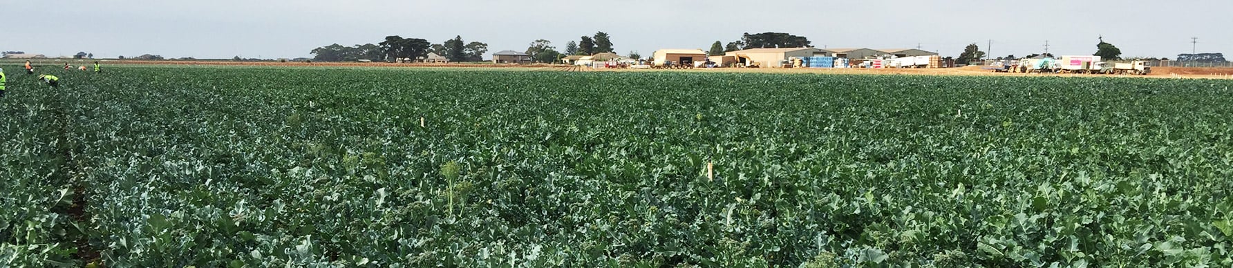 Careers - Agri Labour Australia