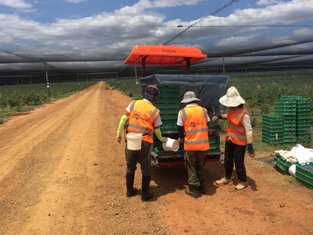 New visa changes support access to agricultural workers - Agri Labour ...