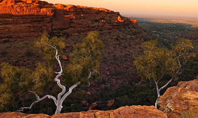 Farm Work Darwin | Farm Works | Agri Labour Australia