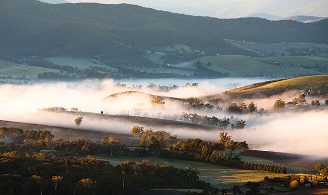 Farm Work Victoria | Farm Workers | Agri Labour Australia